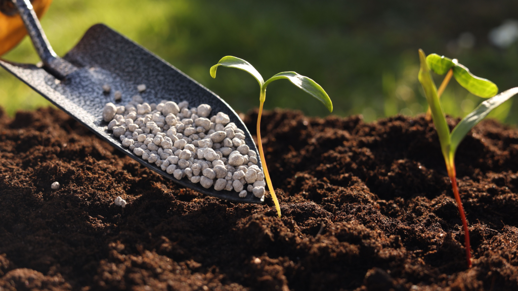 La sinergia entre bioestimulantes y fertilizantes: cómo maximizar el ...